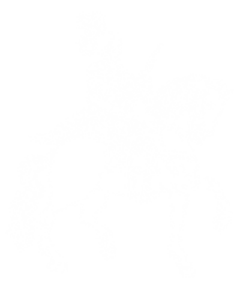 Ritter im Mittelalter kinderleicht erklärt ???? & zusammengefasst